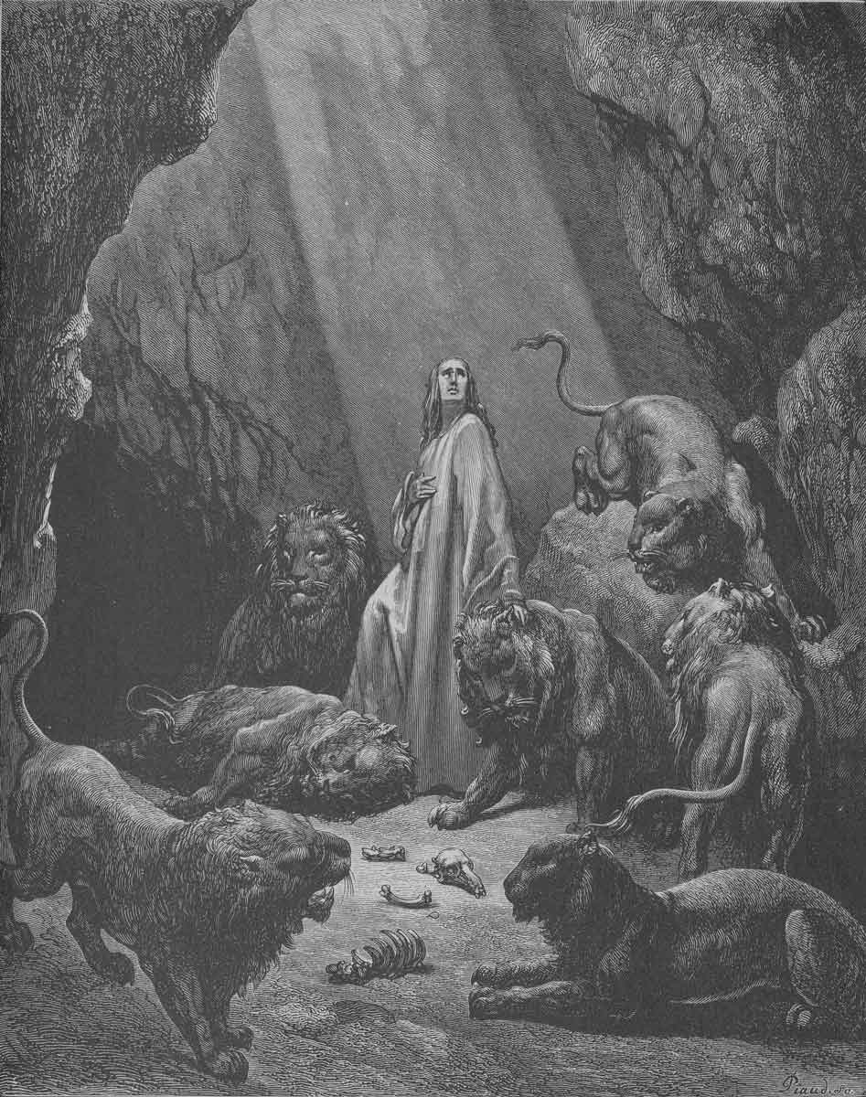 Le lion Quelle est sa signification spirituelle ? - Soul the Animal