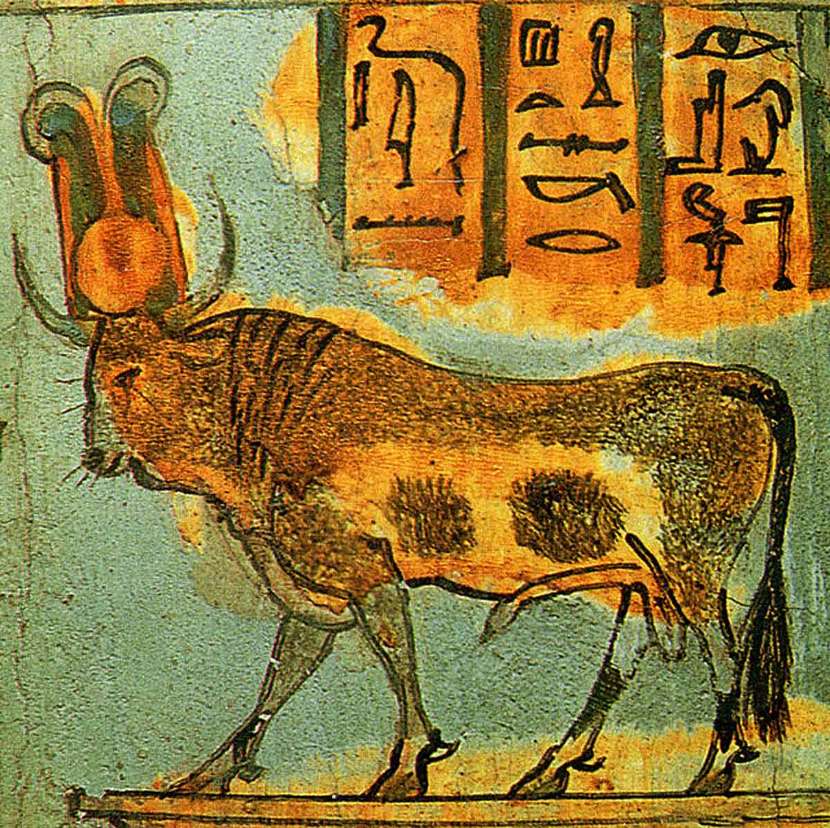 El Toro. Significado Espiritual y Simbología - Soul the Animal
