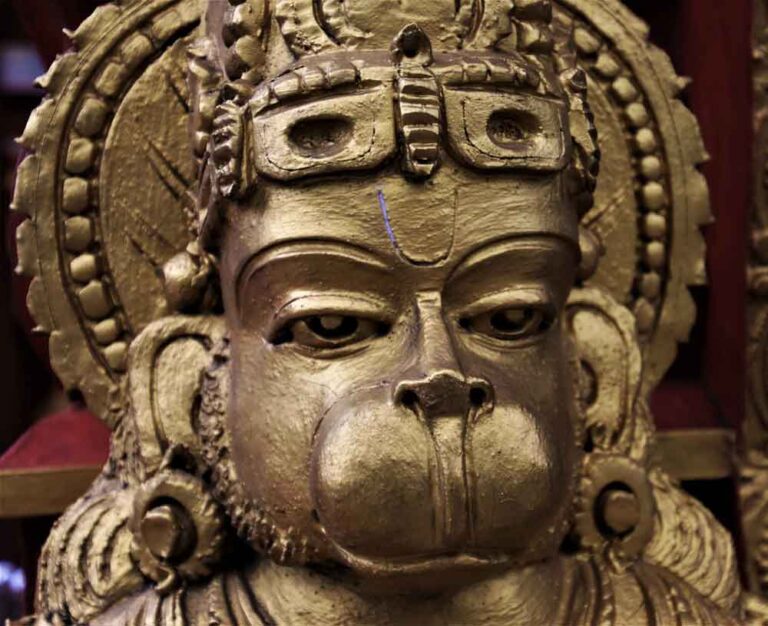 El Mono. Significado Espiritual y Mitología - Soul the Animal